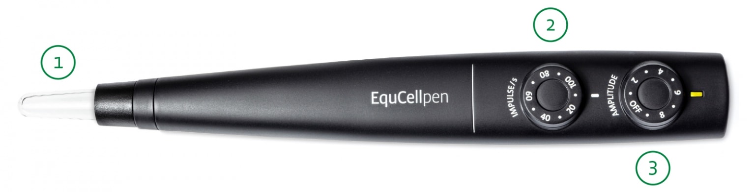 EquCell - Cold plasma therapy in equine practices - ActivCell Group AG